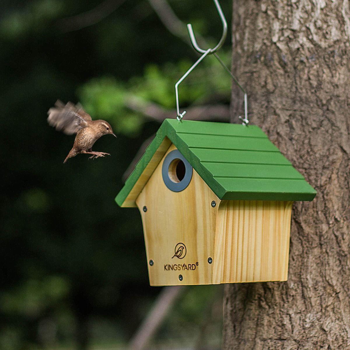 Kingsyard Bird House For Wren Bird